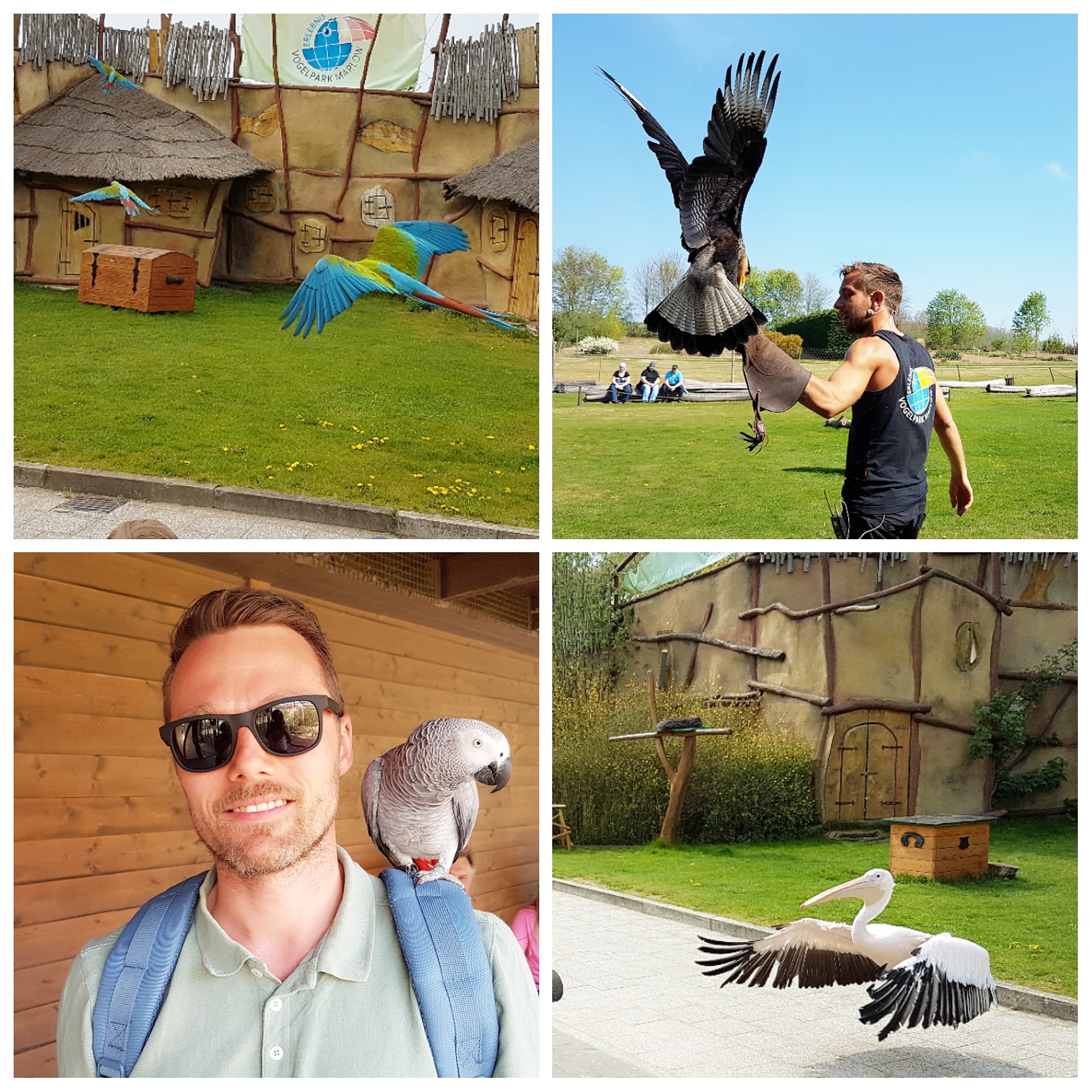 Vogelpark Marlow mit Kindern erleben | Frau-Lilly
